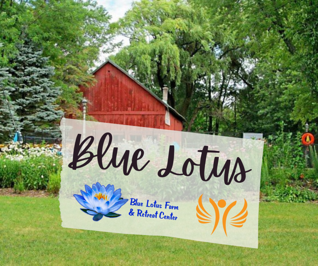Blue Lotus- Fun in the Sun! - ALAS